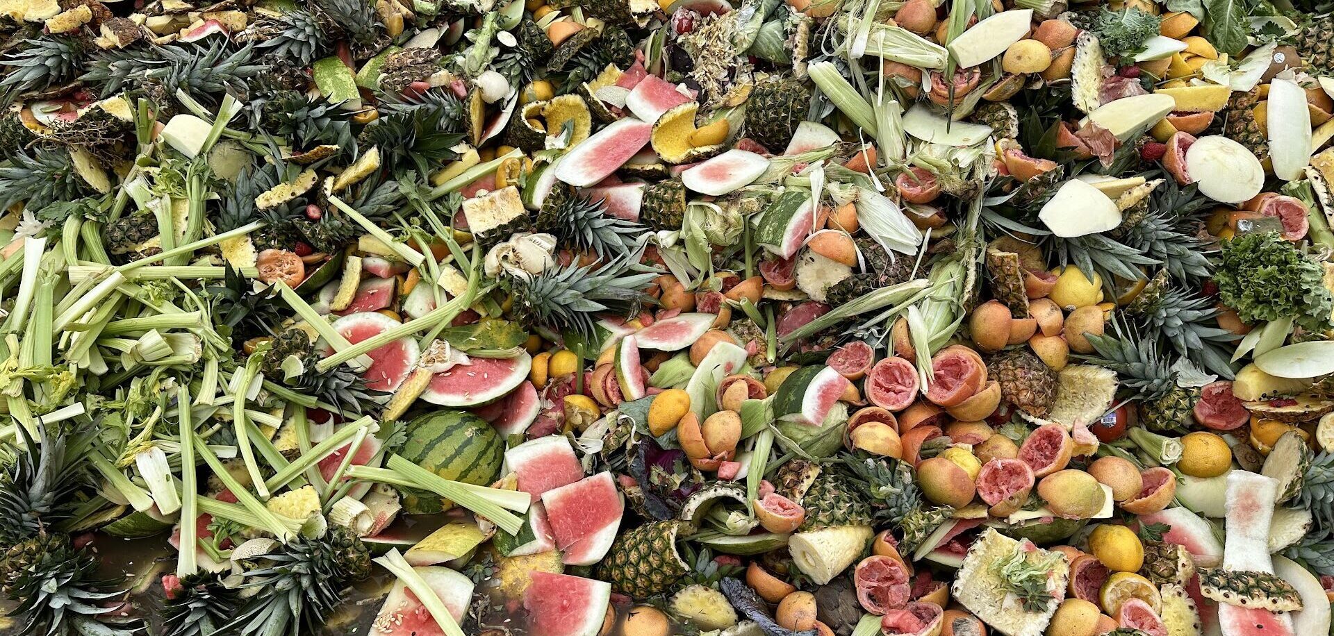 Combating Food Waste - Michigan Learning Channel