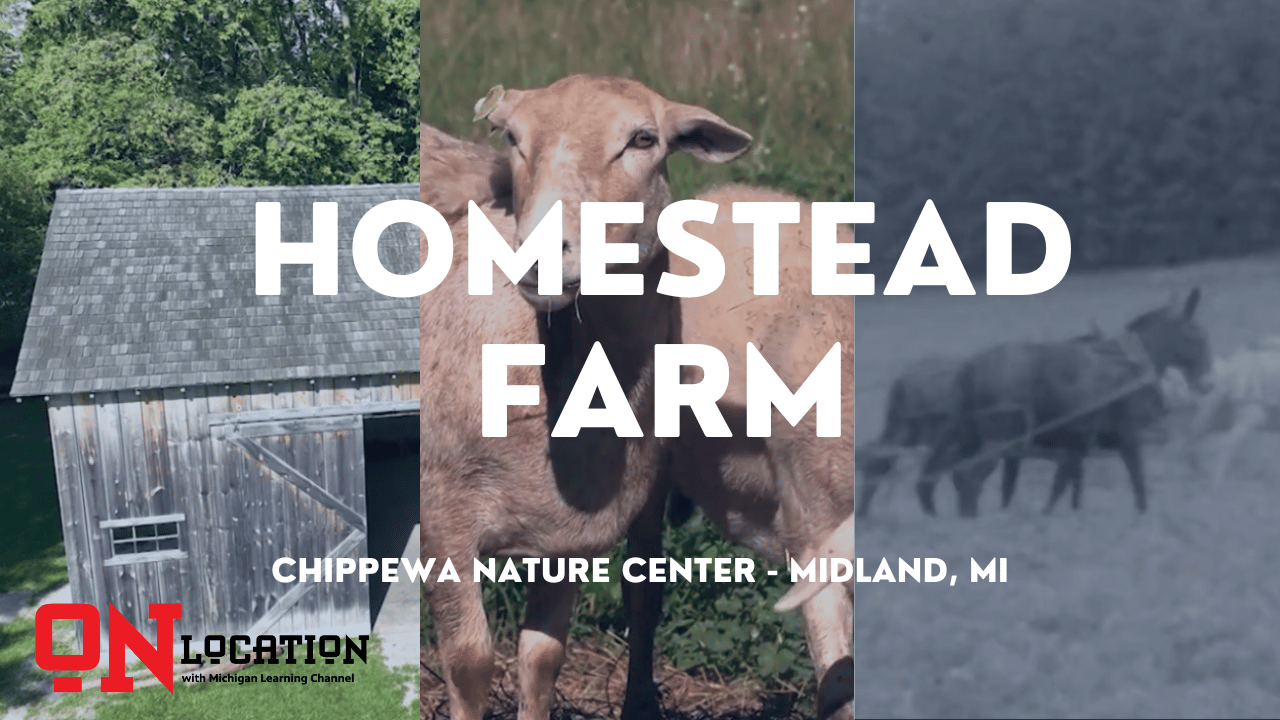 Step Back in Time! Explore a 1800s Michigan Farm Life - Michigan ...