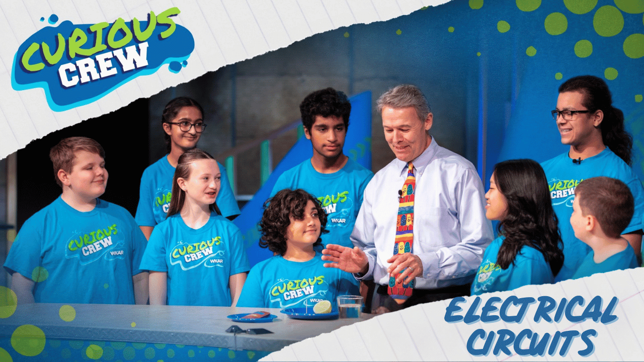 Electrical Circuits - MLC